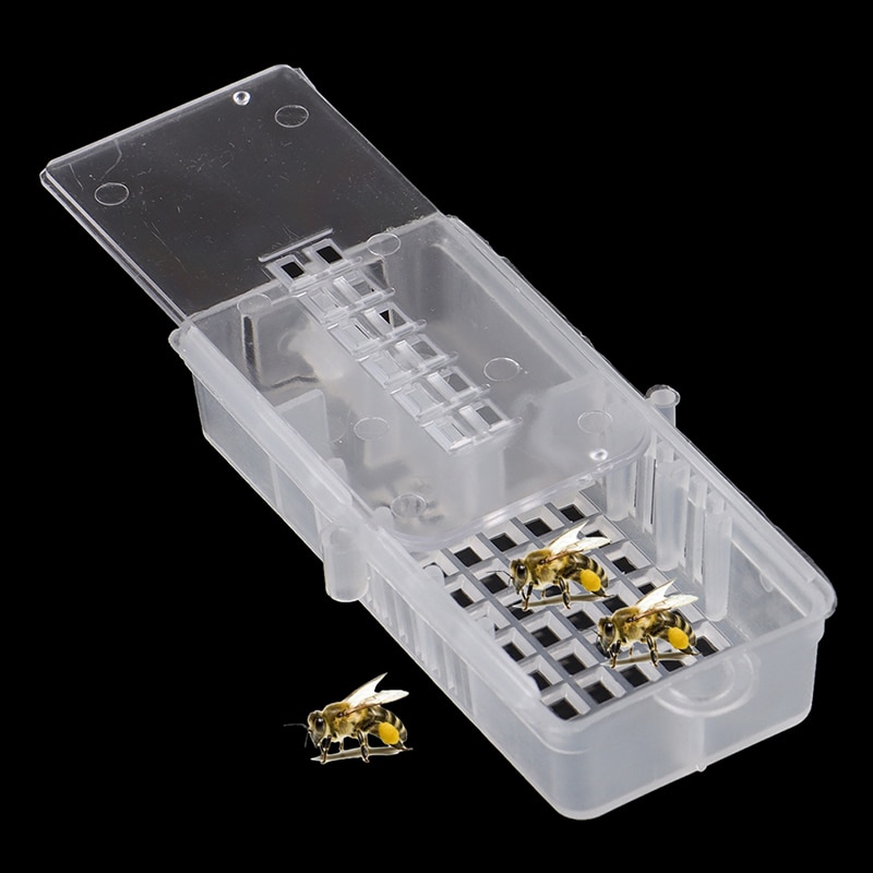 1pcs Bee Tool Transport Cages Beekeeping Equipment... – Grandado