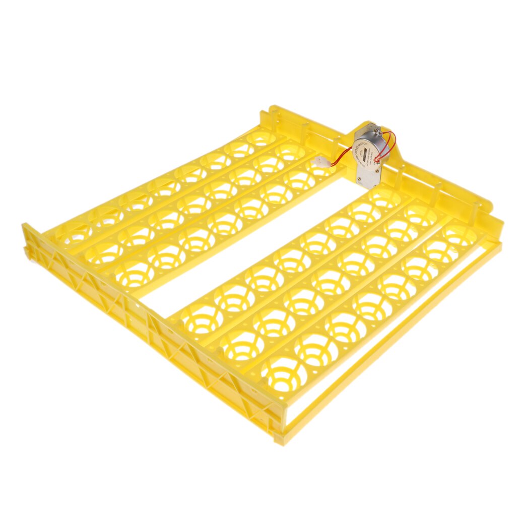 110V 48-digital Auto Egg Turner Tray Egg Incubator... – Grandado