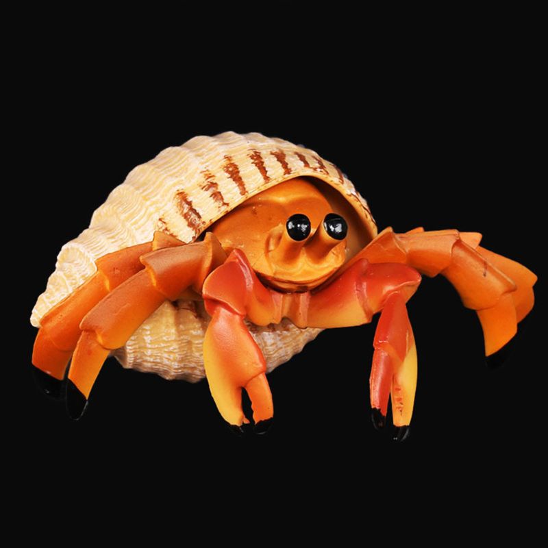 Sea Lifes Hermit Crab Model Toy Simulation Figure ... – Grandado