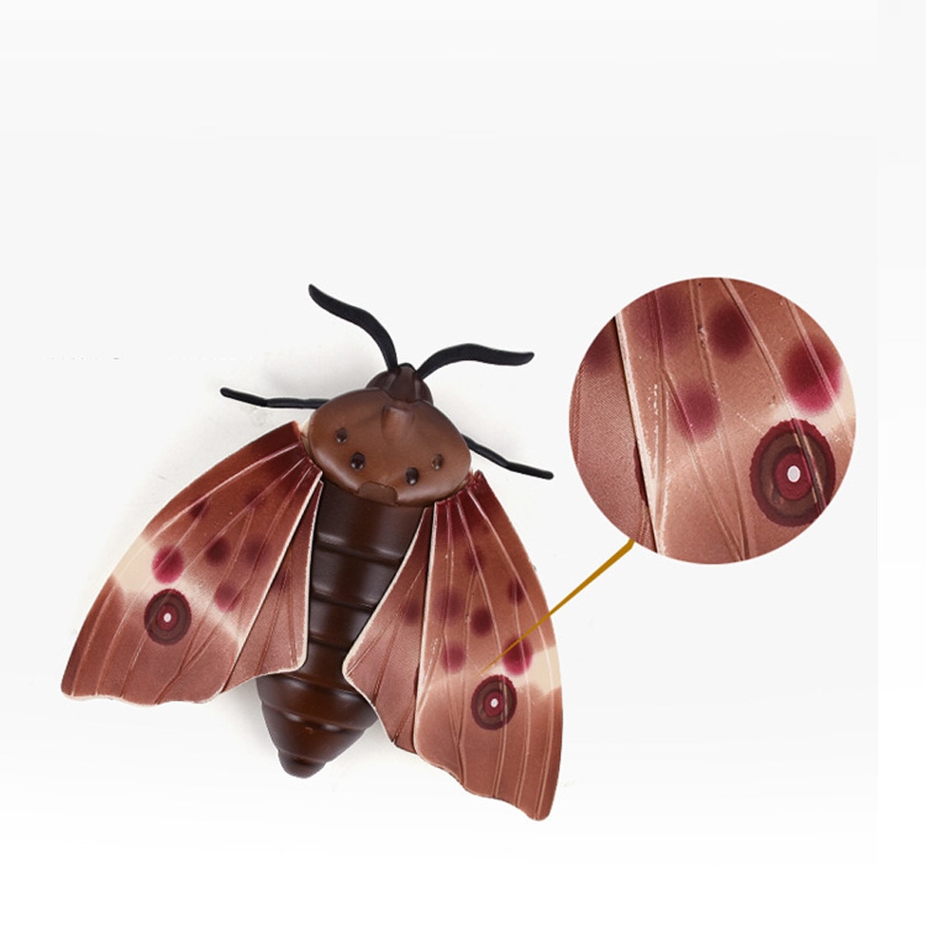 Children Tricky Toys Infrared Induction Electric R... – Grandado