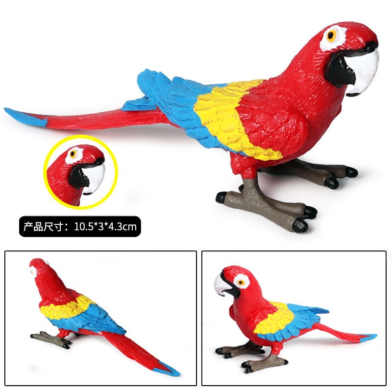 3pc/Set Solid macaw simulation wild animal model b... – Vicedeal