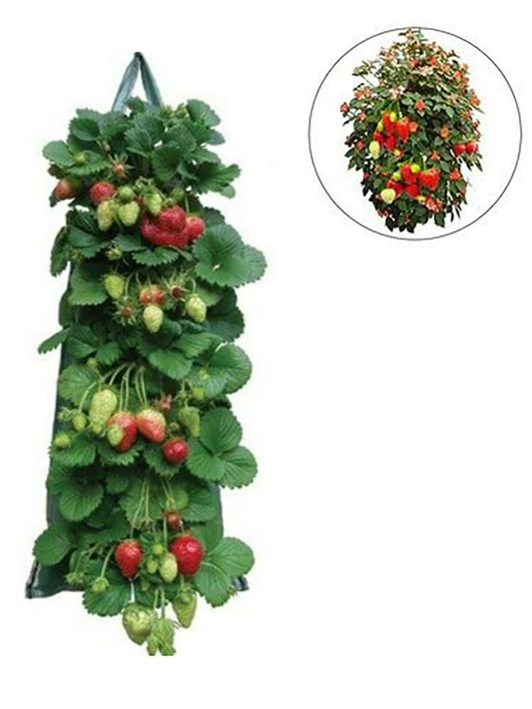 Hanging Strawberry Seeds Planting Growth Bags With... – Vicedeal