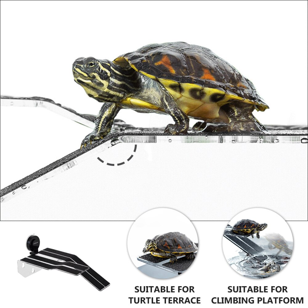 Turtle Basking Platform Tortoise Resting Terrace A... – Grandado