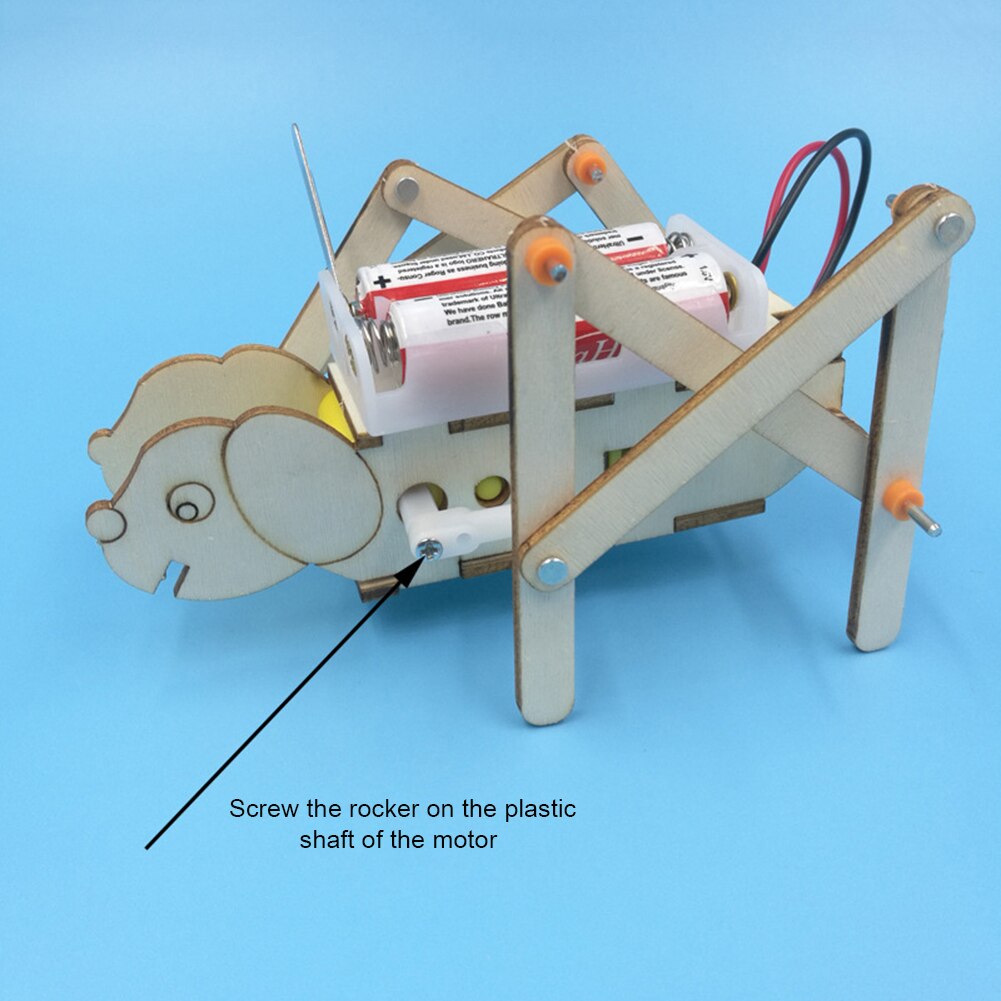 School Projects Teaching Educational Equipment DIY... – Grandado