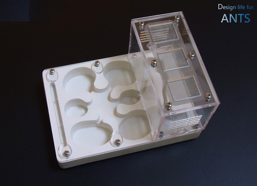 Anthill Ant House Ant Flat Nest Plasterboard Ant F... – Vicedeal