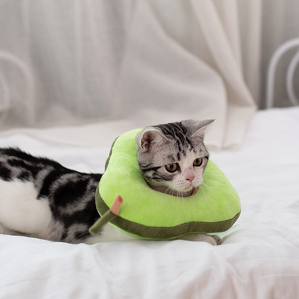 Soft Cotton Pet Elizabethan Collar Adjustable Brea... – Vicedeal