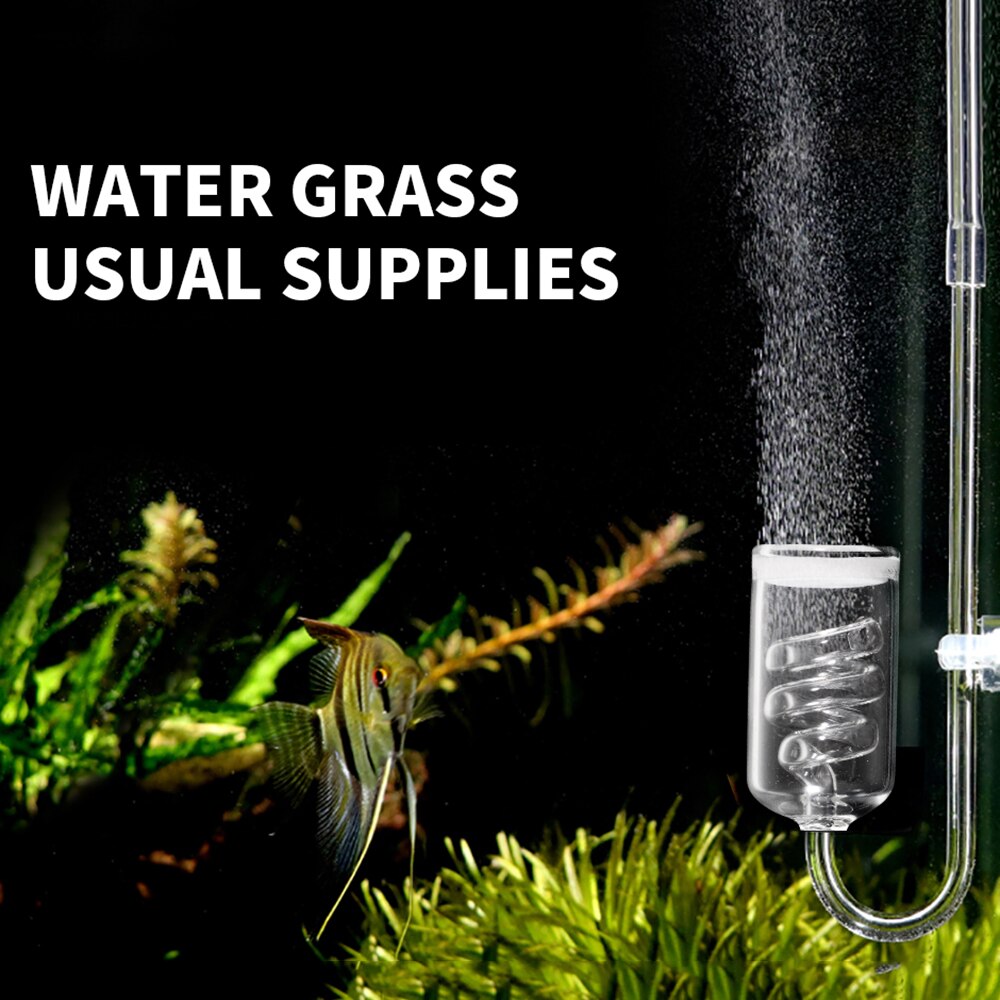 1 Pc Aquarium CO2 Diffuser Glass Tank Bubble Atomi... – Grandado