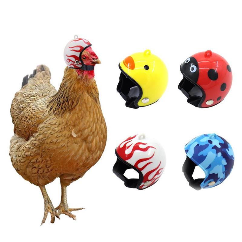 4 Stuks Kip Helm Plastic Vogel Hoofdbescherming Ca... – Grandado