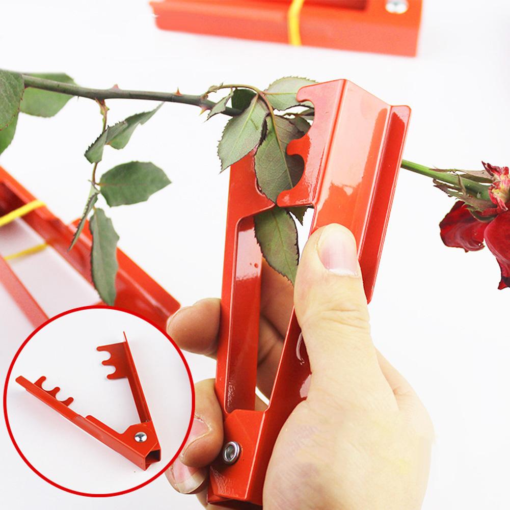 Flower Stem Burrs Pliers Cutting Tool Garden Leave... – Grandado