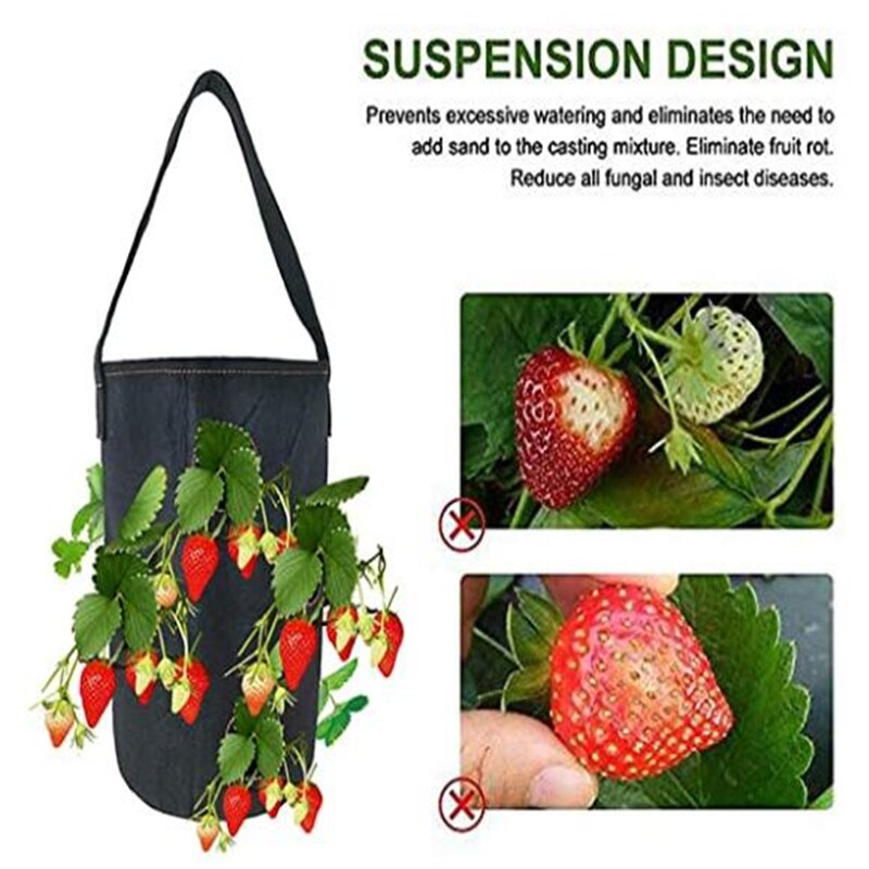 Strawberry Planting Growing Bag Gallons Multi-mout... – Grandado
