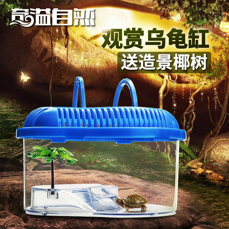 Portable Plastic Terrarium for Reptiles/Amphibians... – Grandado