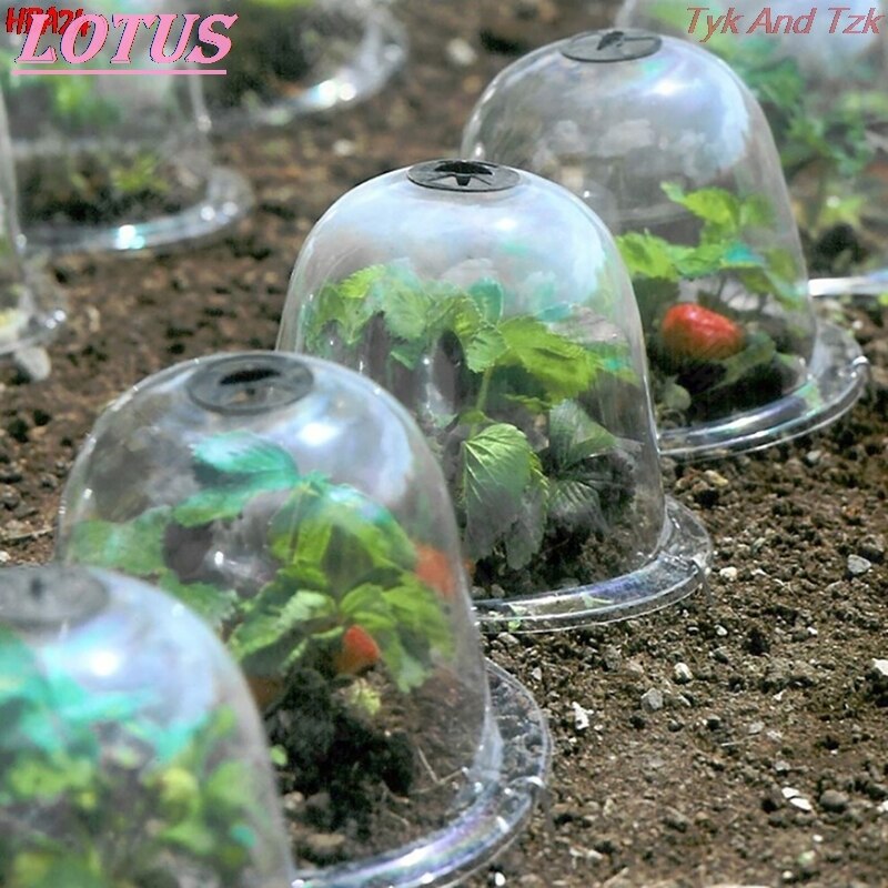 Tuin Cloche Dome Plant Bel Plant Covers Voor Tuin ... – Vicedeal