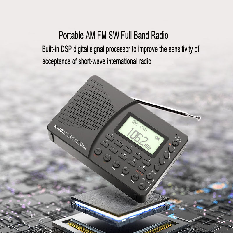 Portable Radio FM AM SW Radio Receiver DSP Shortwa... – Grandado
