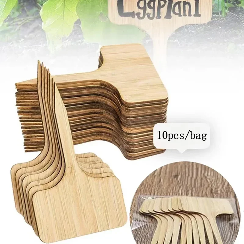 10PCS wooden plug-in succulent plant flower label ... – Grandado