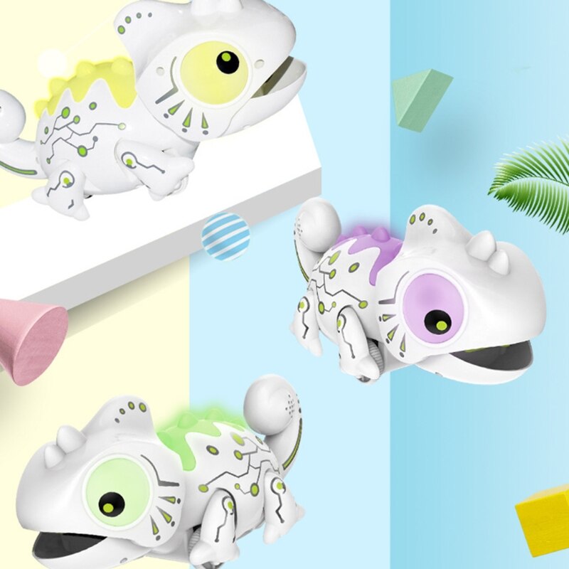 Lizard Early Education Toys with a Flexible Body D... – Grandado