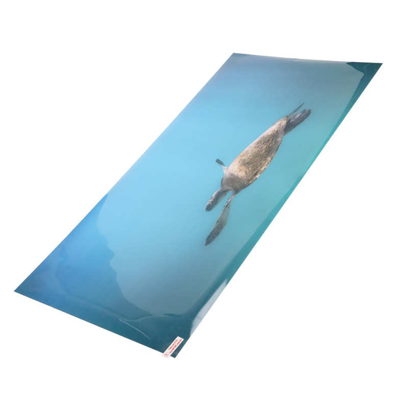 Aquarium Background Paper Self Adhesive Fish Tank ... – Grandado