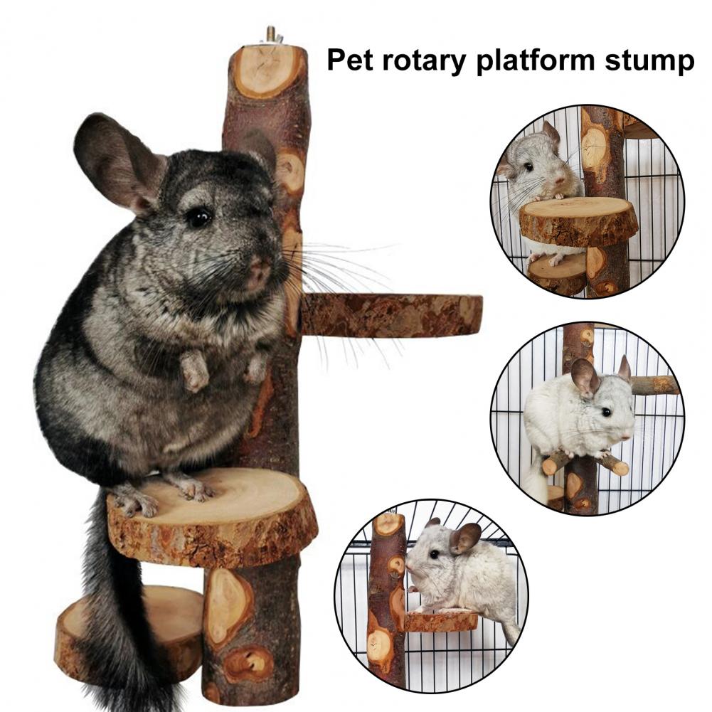 Chinchilla Stand Exercise Training Play Ground Nat... – Grandado