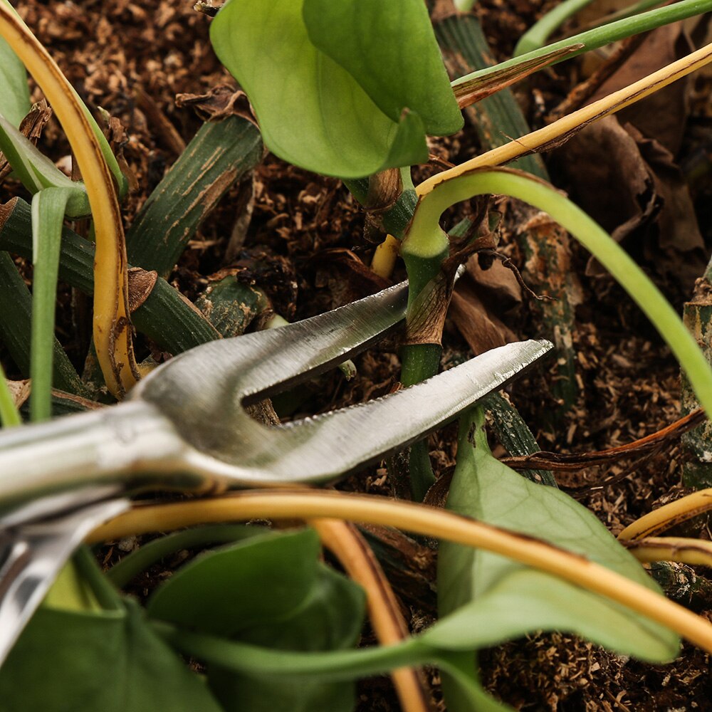 2 stijl Roestvrij Staal Handmatige Wieden Vork Hou... – Grandado