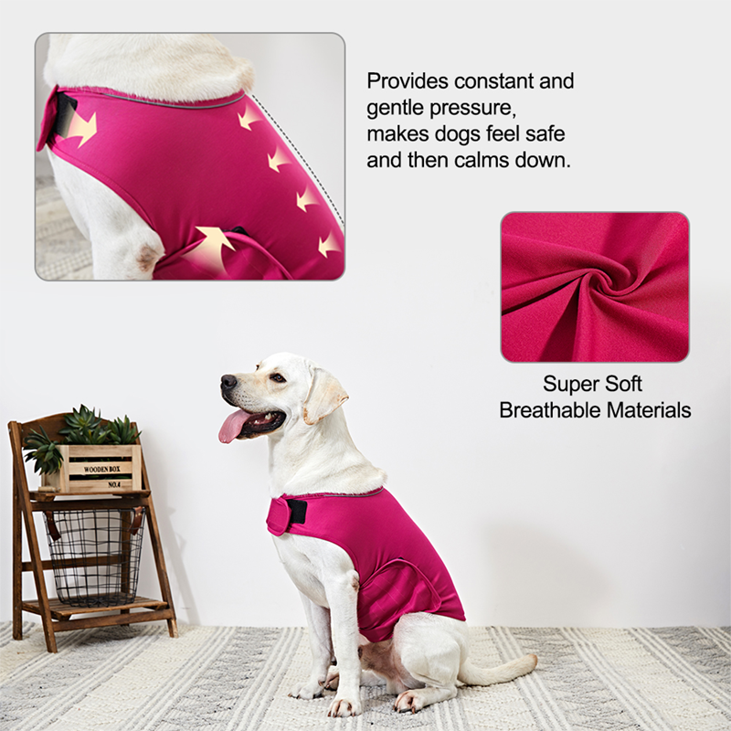 Solve Pet Dog Fear And Anxiety Vest Anti-Anxiety C... – Grandado