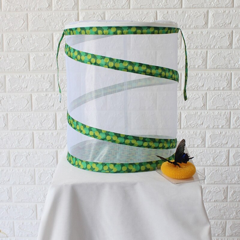 Insect and Butterfly Habitat Cage Terrarium Insect... – Grandado