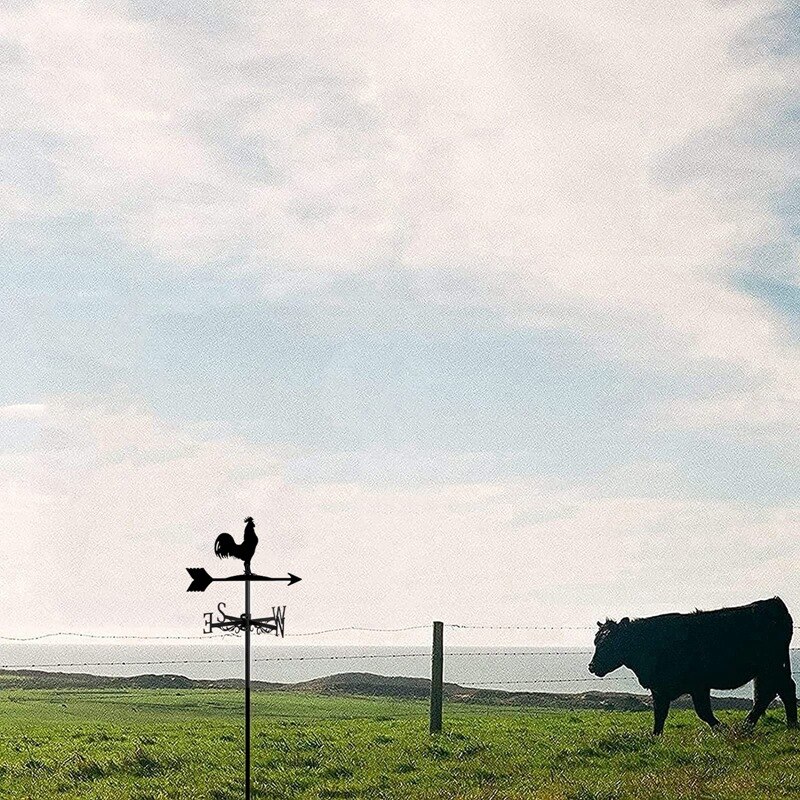 Weathervane With Animal Chickens Garden Stake Weat... – Vicedeal