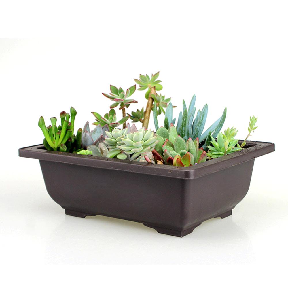 1Pc Plastic Flower Pot Rectangle Flower Bowl Basin... – Grandado