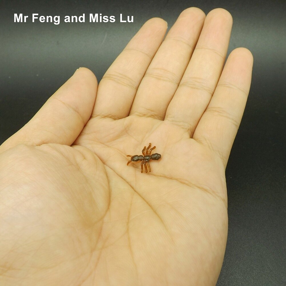 Insects Toy Model Plastic Tiny Ant Toy Children Ed... – Vicedeal