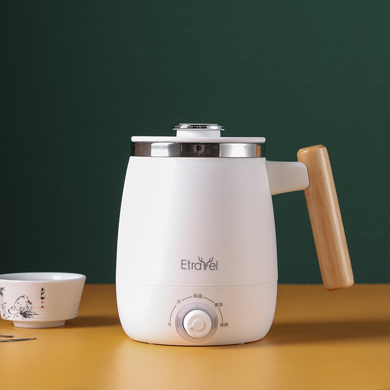 Multifunctional Mini Electric Kettle Simple Stainl... – Vicedeal