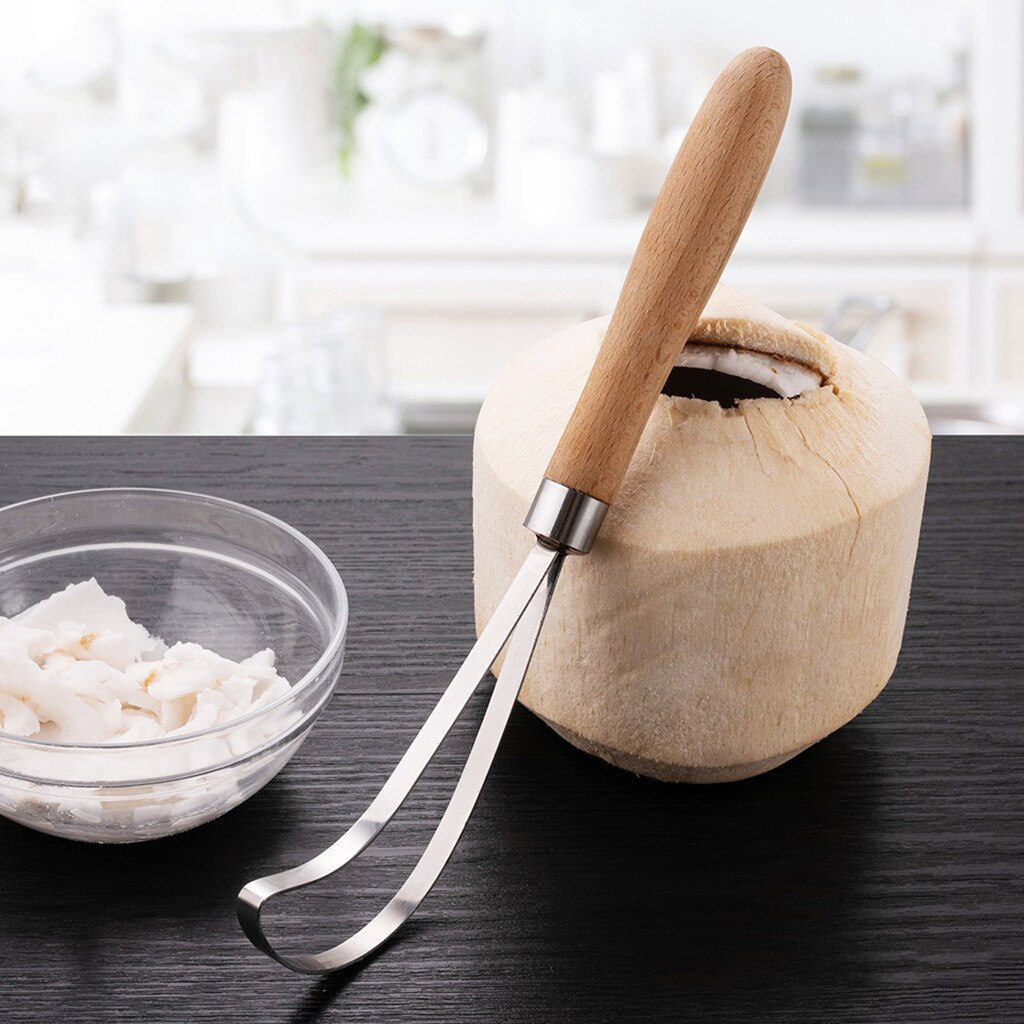 Coconut Peeler Scraper Stainless Steel Meat Remova... – Grandado
