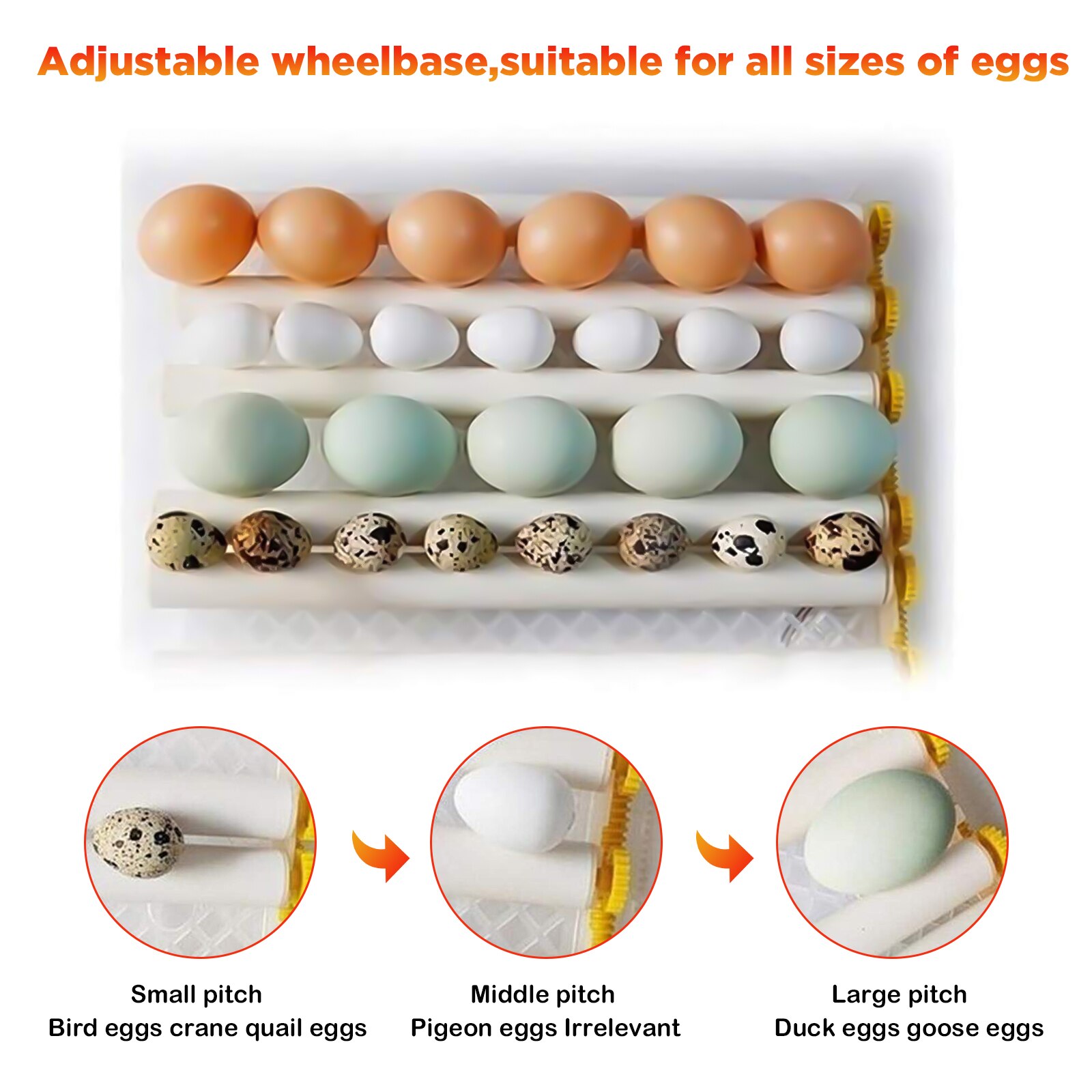 16 Egg Automatic Incubator Brooder 110V/220V DC12V... – Grandado