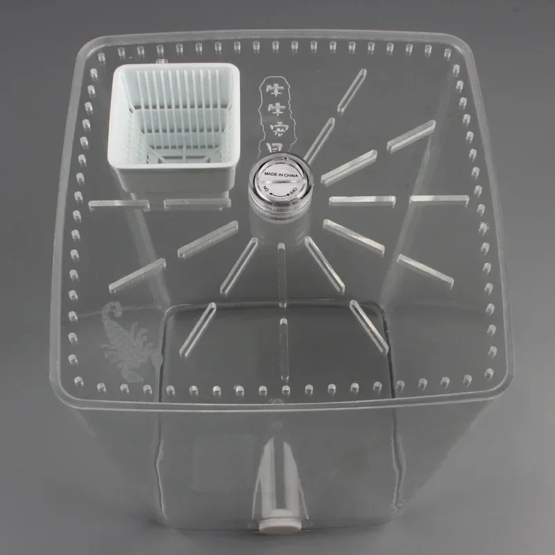 Reptile Led Light Breeding Box Transparent Lizard ... – Grandado