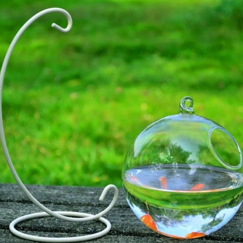 Transparent Spherical Glass Handmade Fish Tank Rou... – Grandado