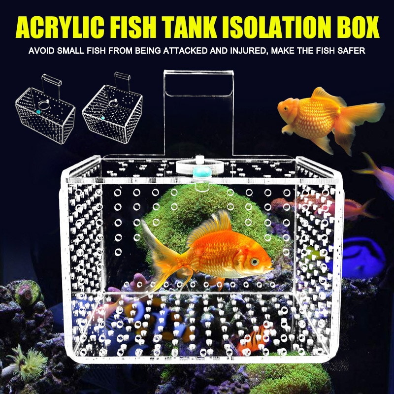 Arcylic Aquarium Fish Tank Isolation Box Breeding ... – Vicedeal