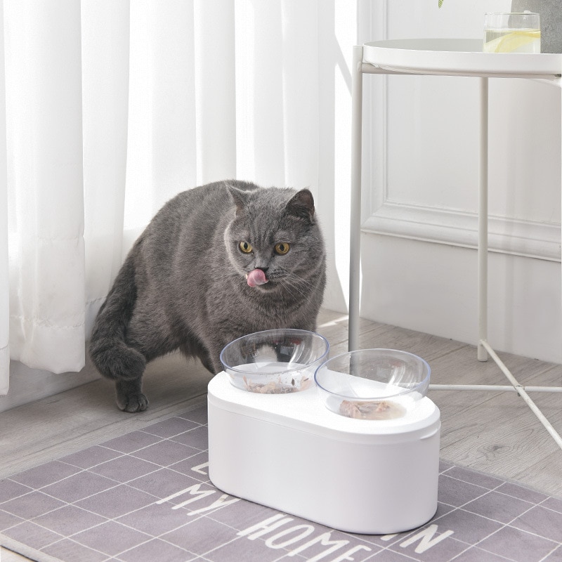 Incline Cat Double Bowls Et Food Water Bowls For C... – Vicedeal