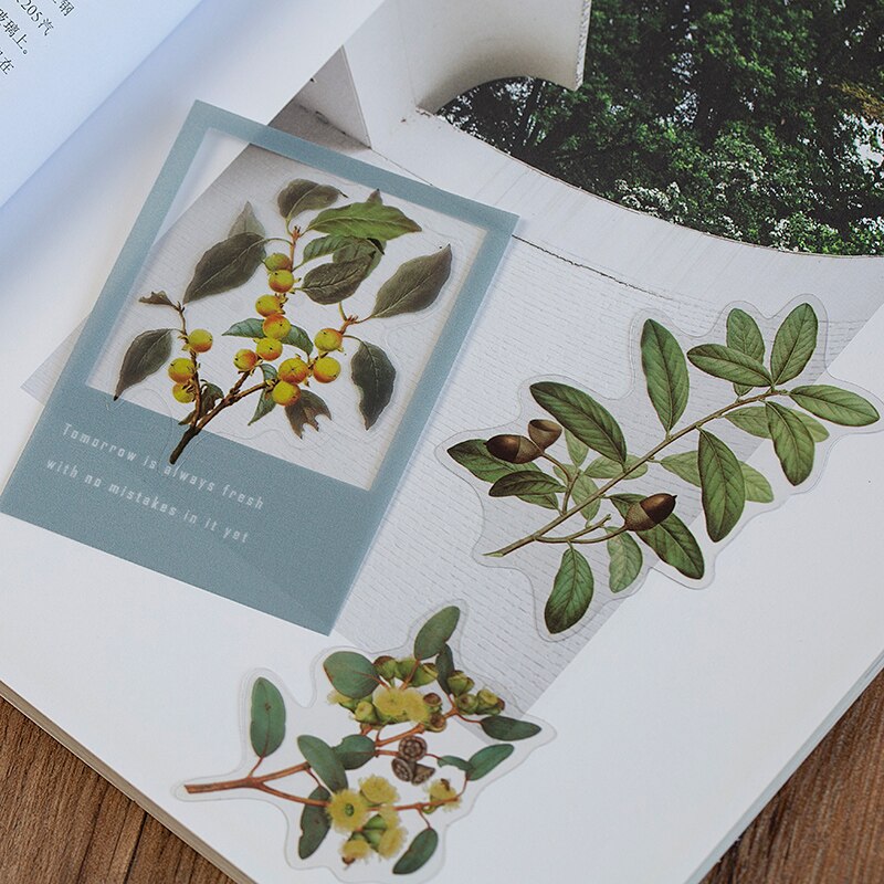 Journamm 40pcs Natural Fern Plant Stickers Journal... – Grandado