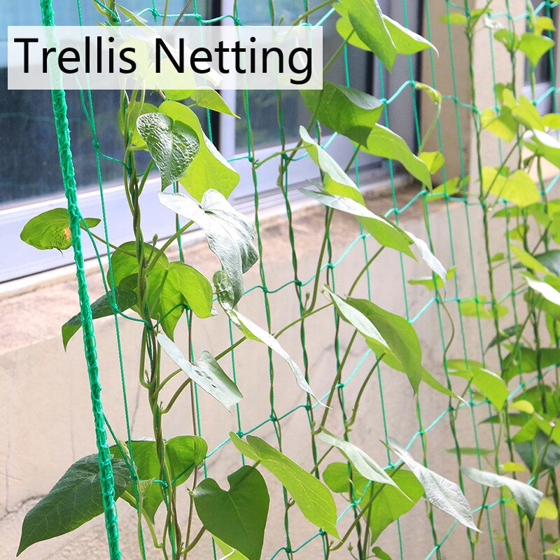 Garden Plants Climbing Trellis Netting Bean Fruits... – Vicedeal