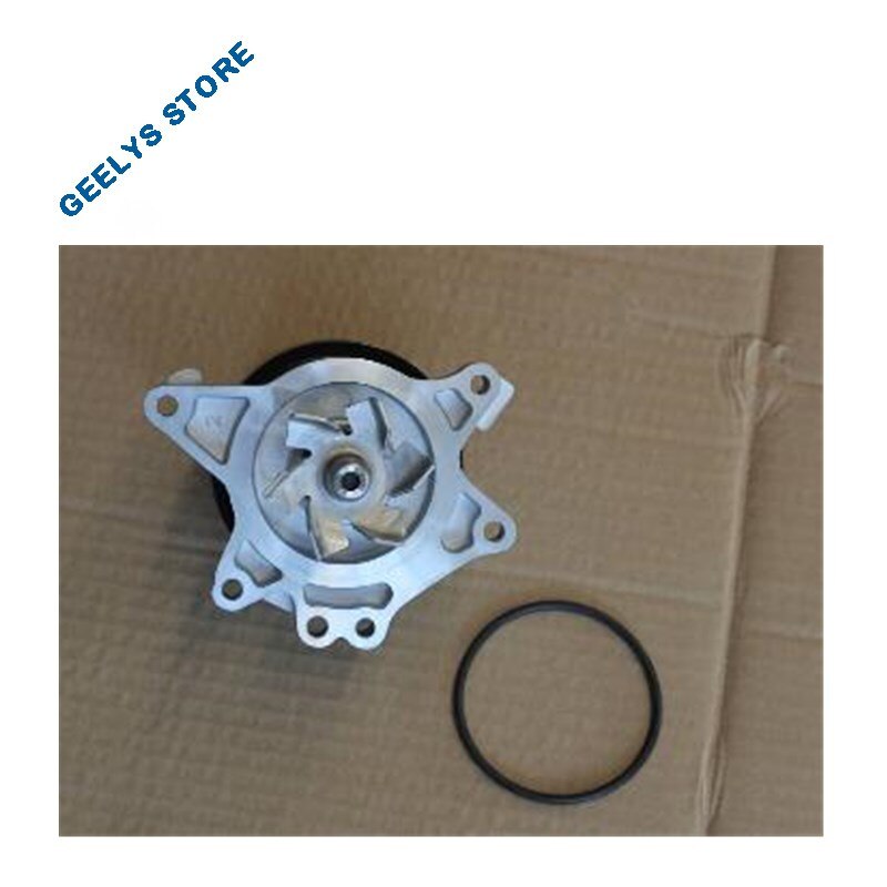 1016050759 Pump assembly FOR GEELY – Grandado