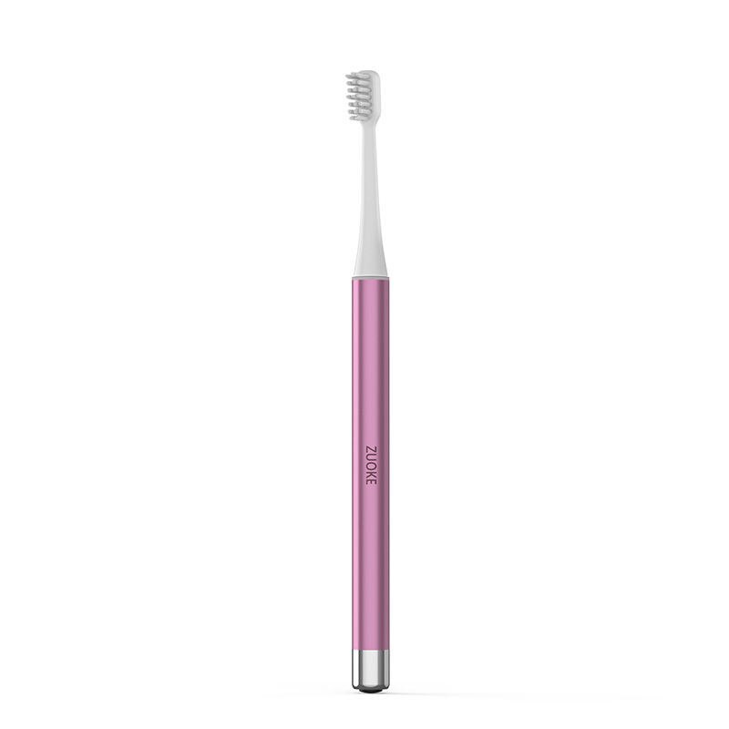 Metal Handle Portable Electric Toothbrush Plugged ... – Grandado
