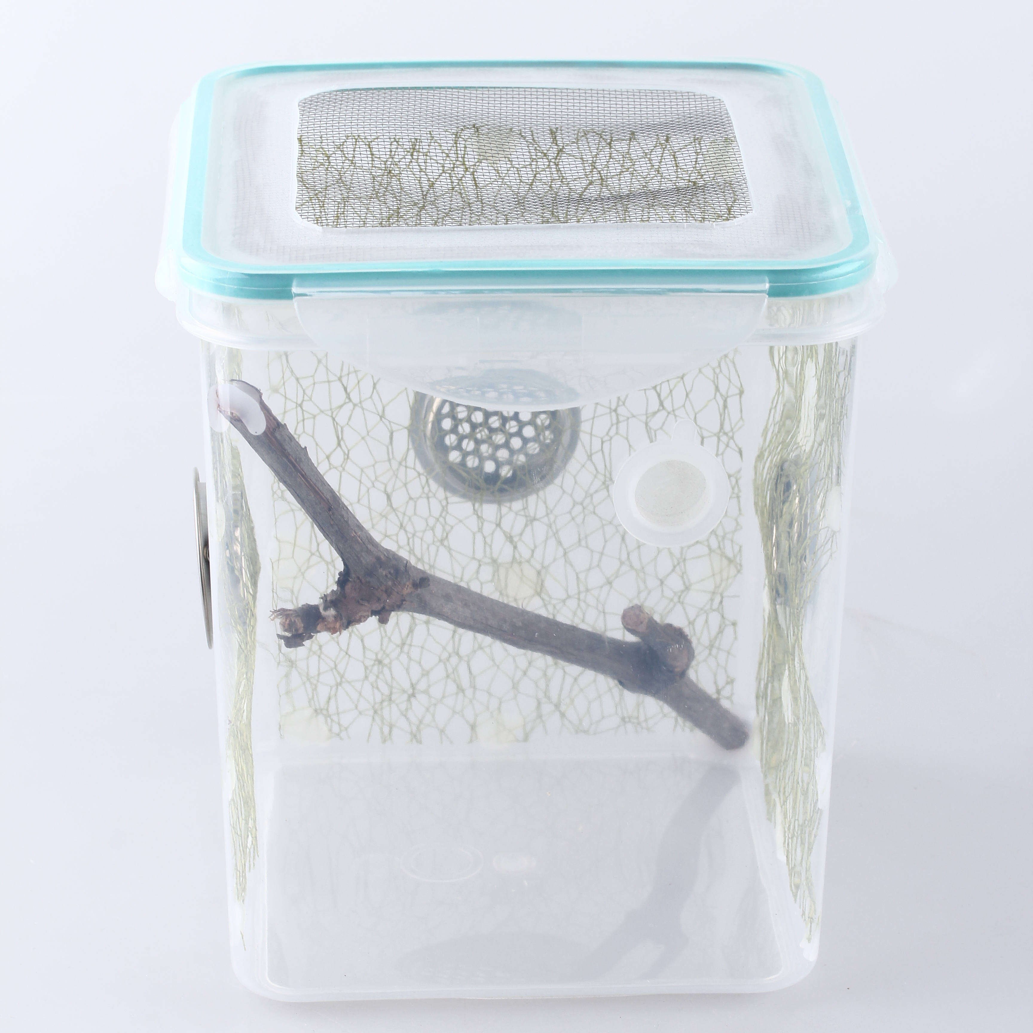 Plastic cubic mantis box insect tank little animal... – Grandado