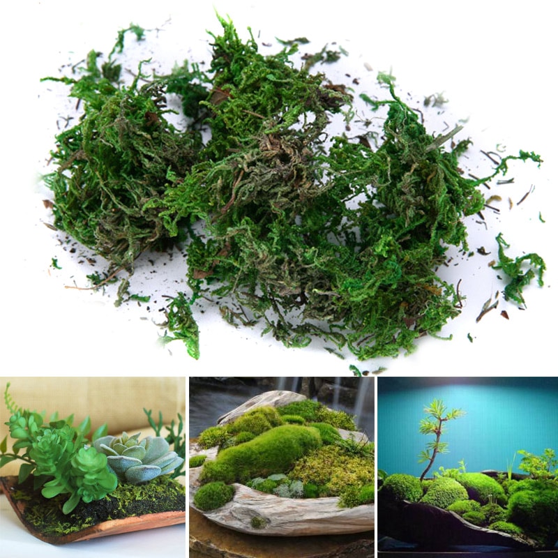 Dried Artificial Moss Lining Decor Flower Hanging ... – Grandado