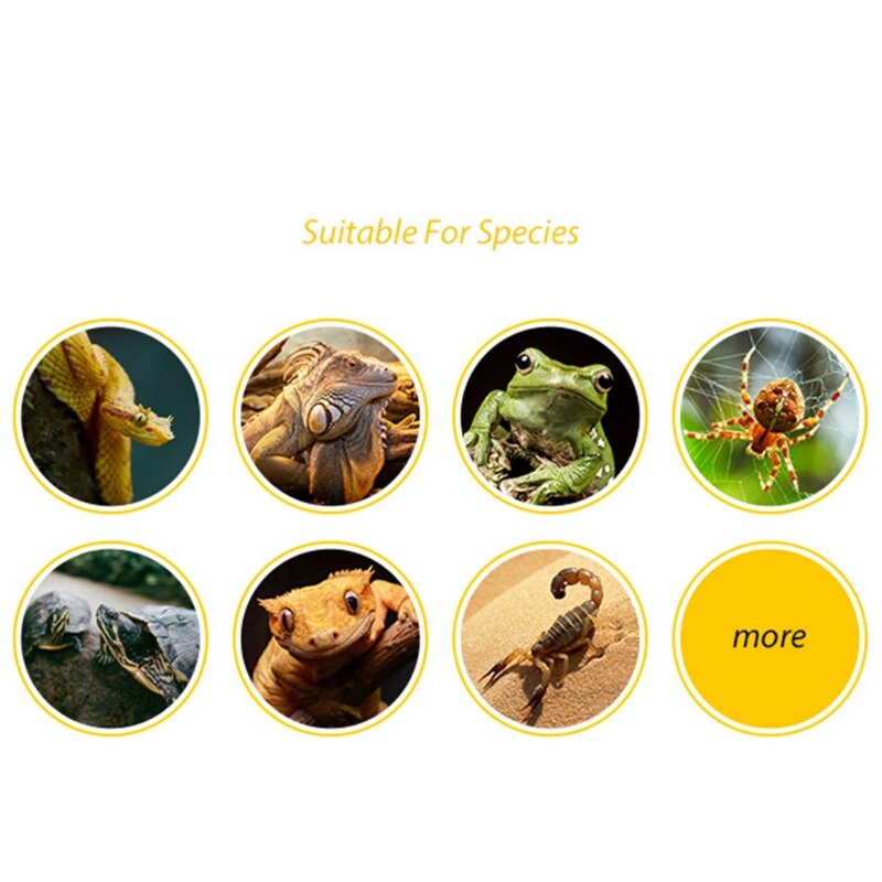 Reptile Hide Cave Small Animal Hideaway Artificial... – Grandado