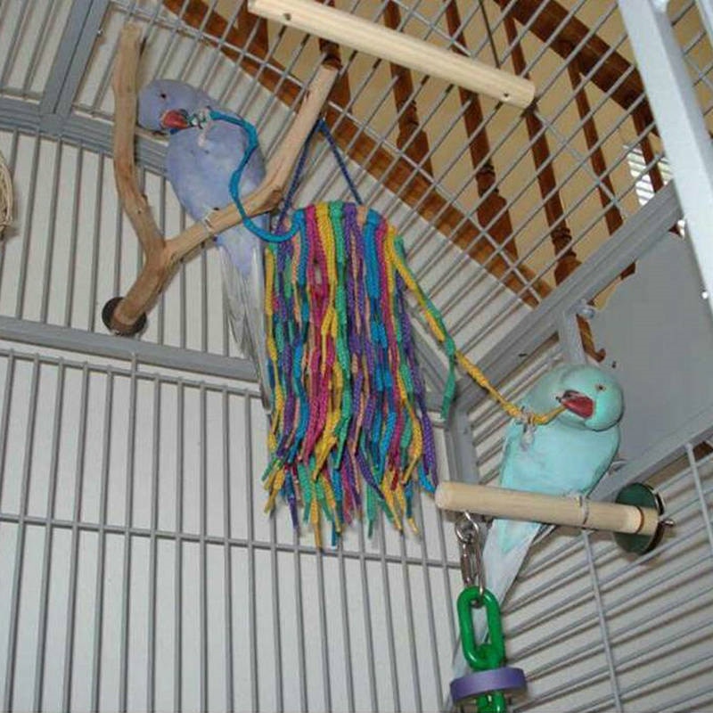 Interactive Pet Bird Parrot Rope Perches Cage Acce... – Grandado