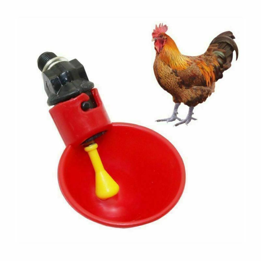 5/10 pcs/lot Automatic Chicken Quail Drinker Chick... – Vicedeal