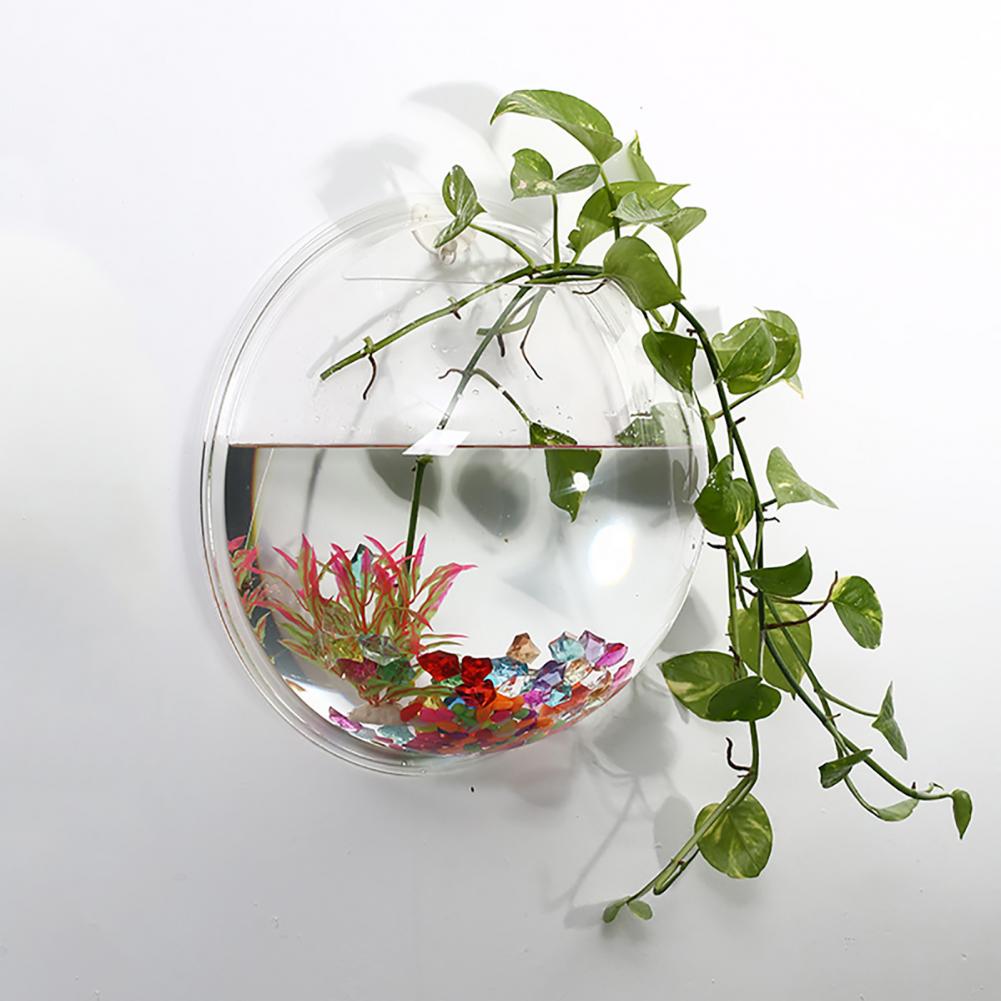 80% Wall Mounted Fish Tank Fish Tank Clear Wall Mo... – Grandado