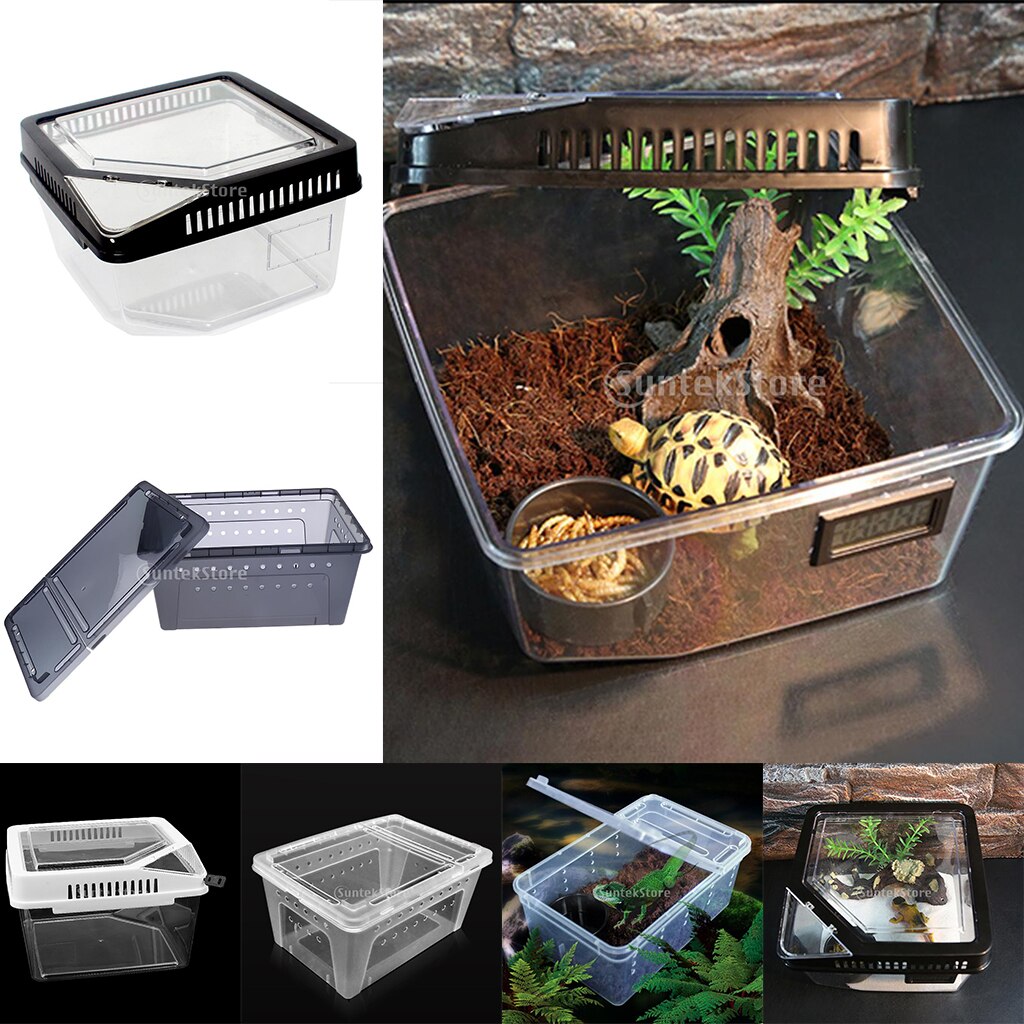 Reptile Terrarium Vivarium Tank Box Turtle Nursery... – Vicedeal