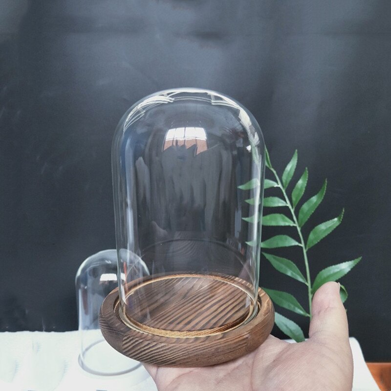 9*18cm Antique Base Glass Dome Home Decoration Dia... – Grandado