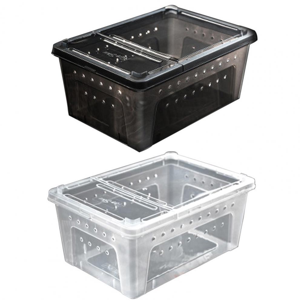 Popular Feeding Box Excellent Clarity Plastic Hatc... – Grandado