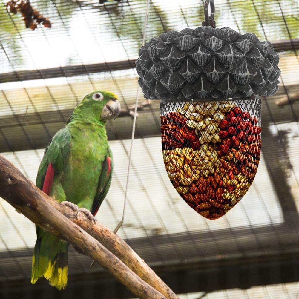 Bird Parrot Hanging Food Feeder Container Outdoor ... – Grandado