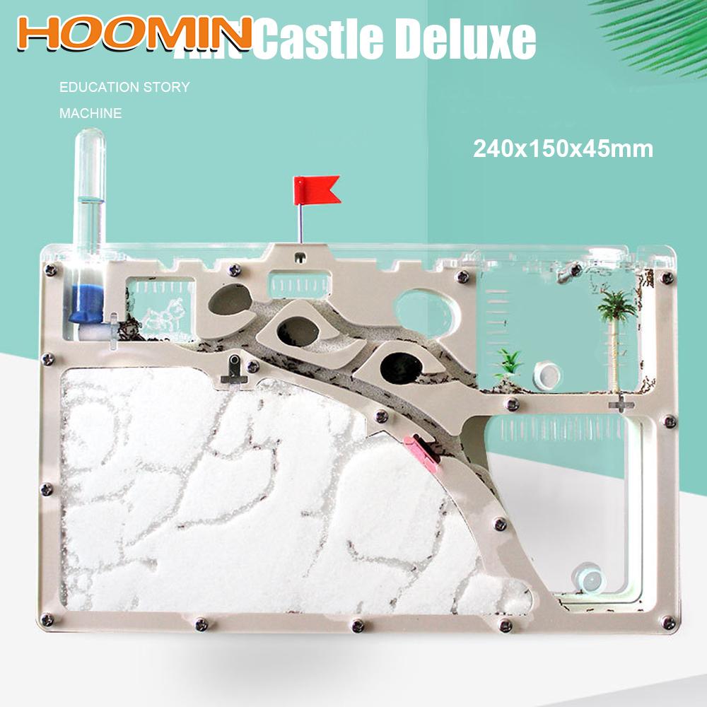 Household Ant Farm Acrylic Box Children Educationa... – Vicedeal