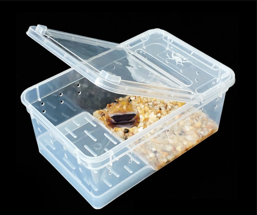 Terrarium for reptiles Transparent Plastic Box Ins... – Vicedeal
